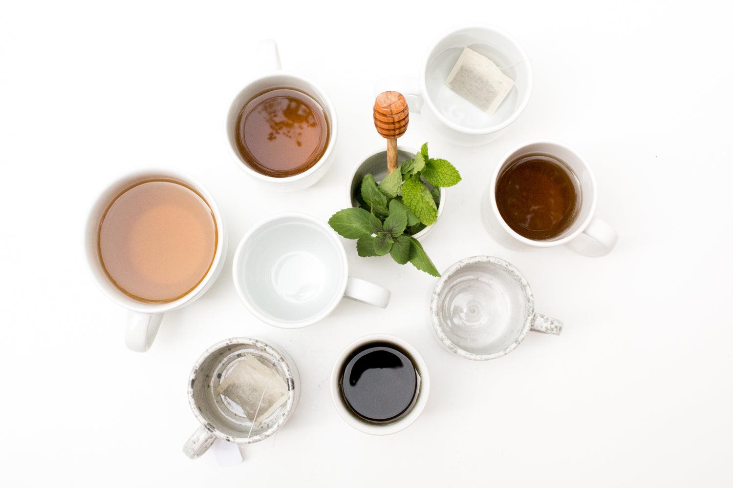 Deep Dive into Caffeine & Yaupon Tea – CatSpring Yaupon