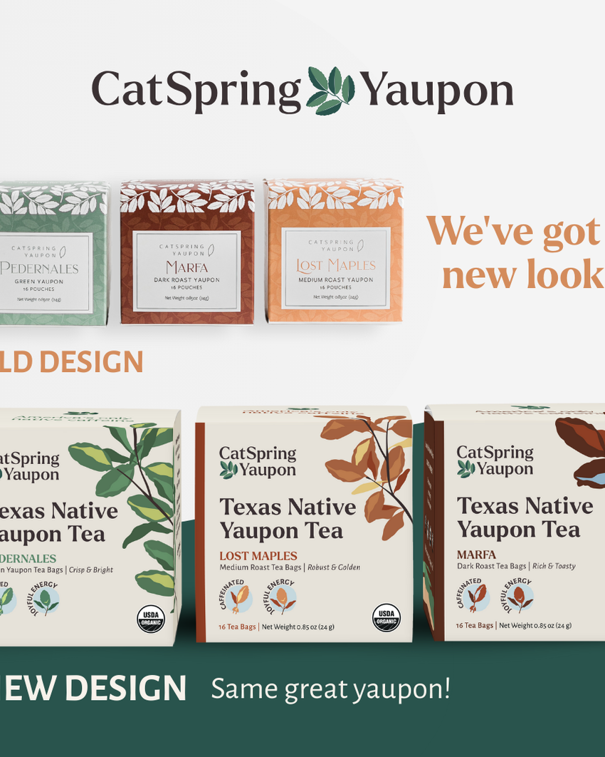 What Does Yaupon Taste Like? | CatSpring Yaupon Tea
